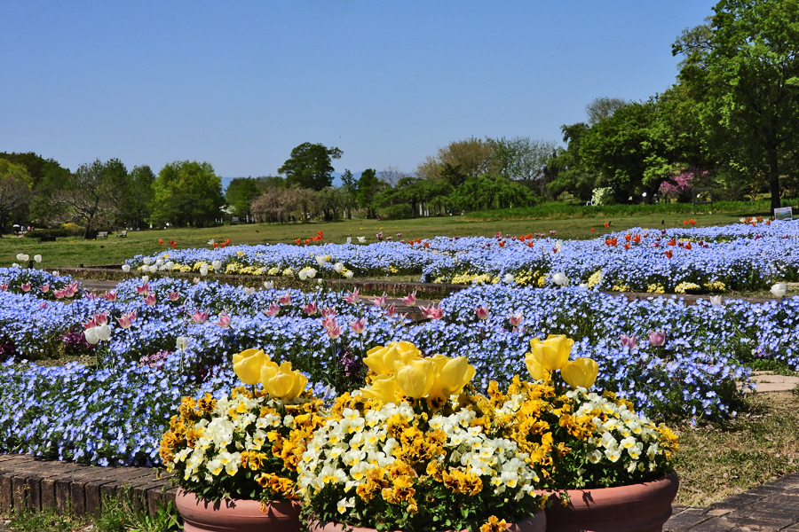 challenge 80挑戦 CHALLENGE Javascript