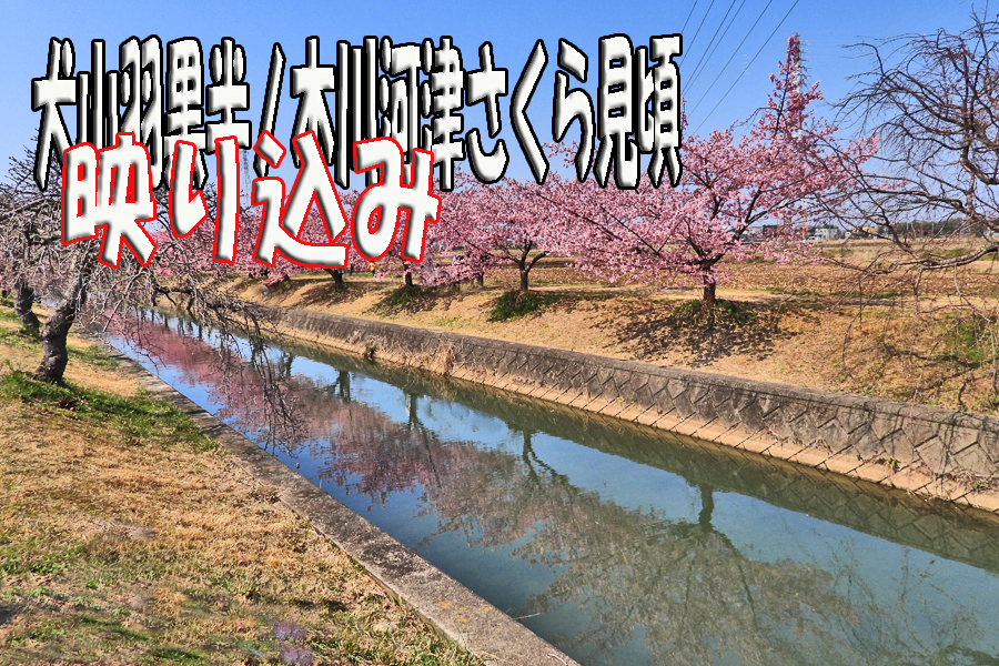 challenge 80挑戦 CHALLENGE Javascript