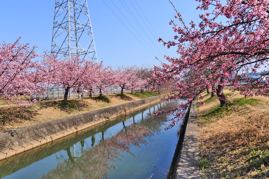 challenge 80挑戦 CHALLENGE Javascript