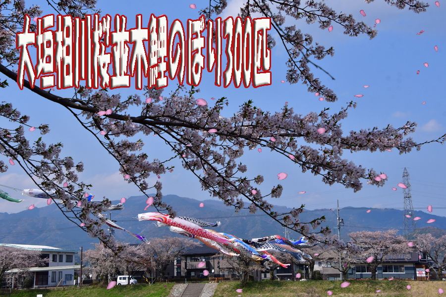 challenge 80挑戦 CHALLENGE Javascript