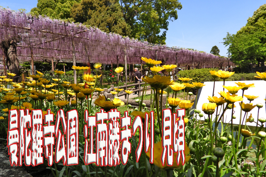 challenge 80挑戦 CHALLENGE Javascript