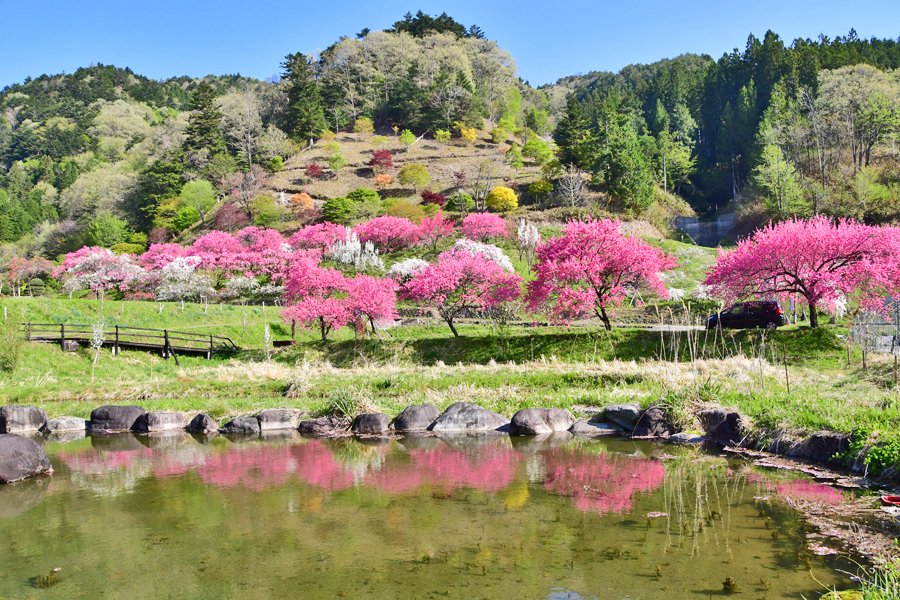 challenge 80挑戦 CHALLENGE Javascript