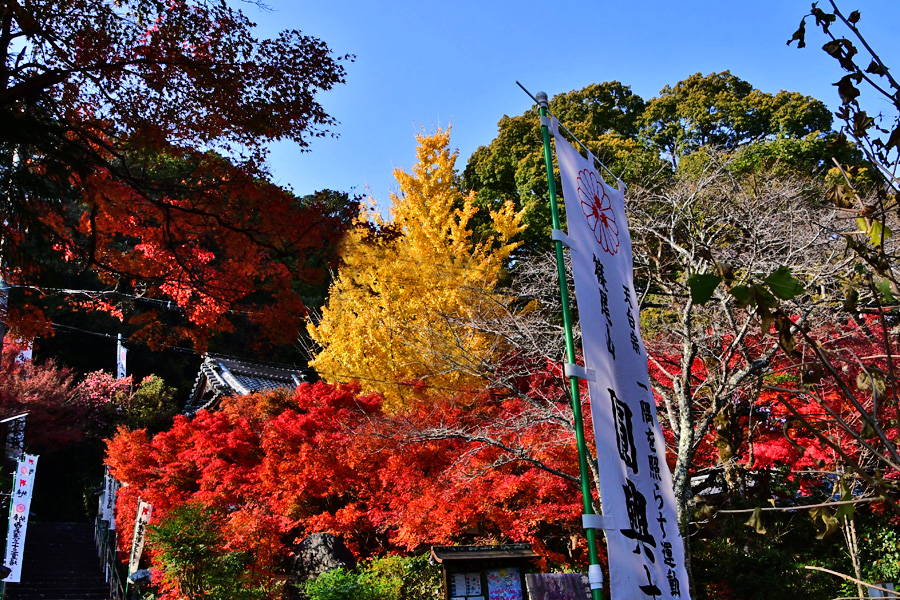 challenge 80挑戦 CHALLENGE Javascript