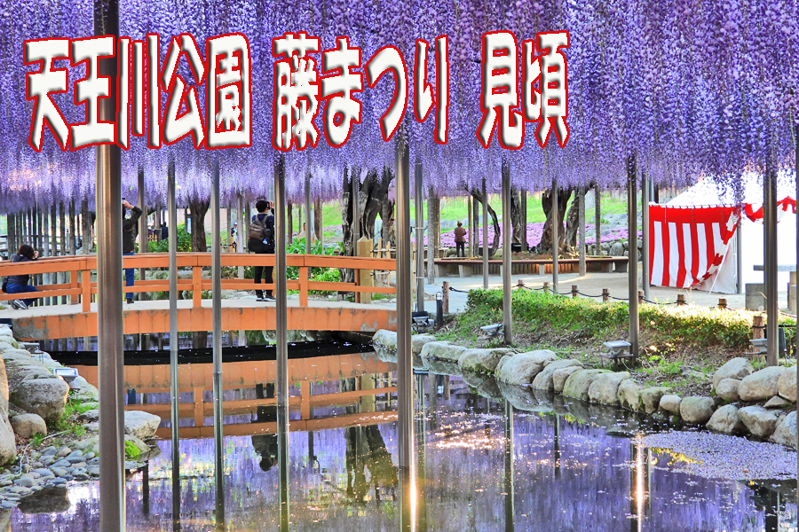 challenge 80挑戦 CHALLENGE Javascript