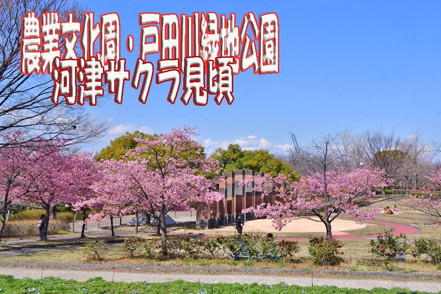 challenge 80挑戦 CHALLENGE Javascript