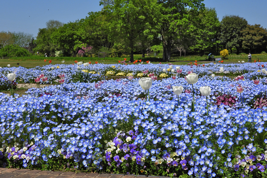 challenge 80挑戦 CHALLENGE Javascript