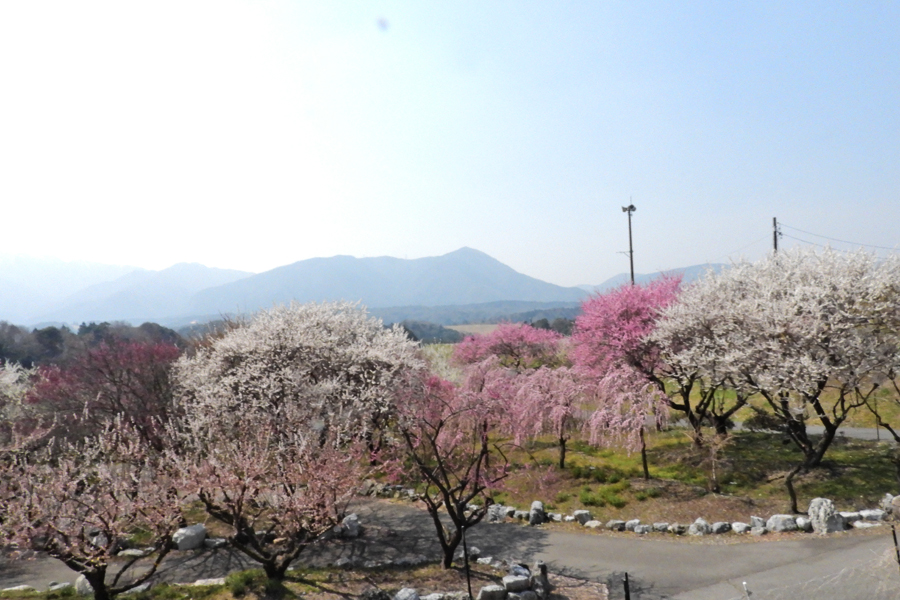 challenge 80挑戦 CHALLENGE Javascript