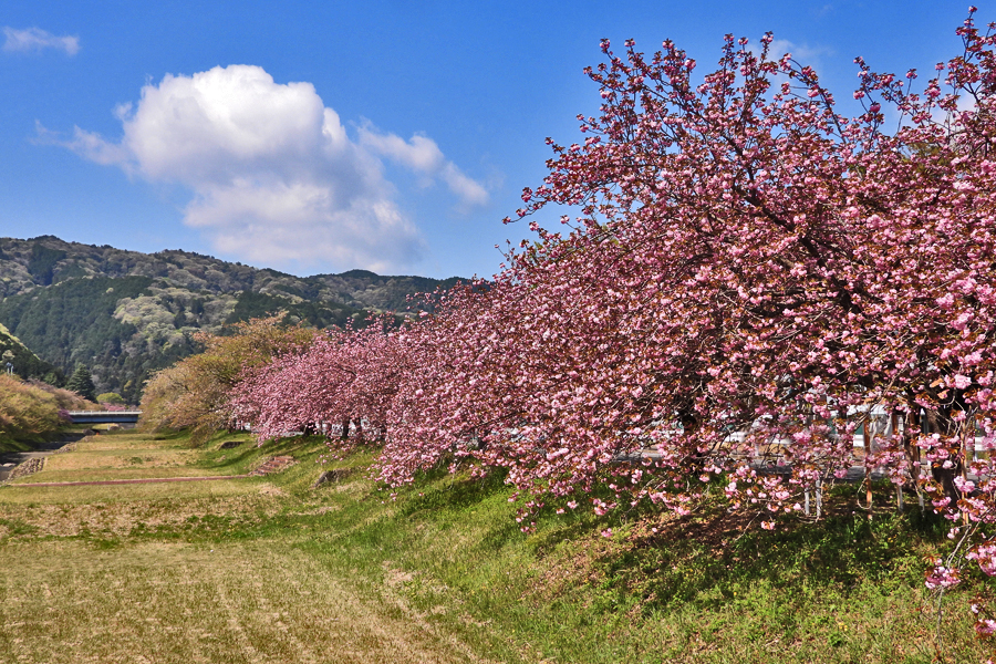 challenge 80挑戦 CHALLENGE Javascript