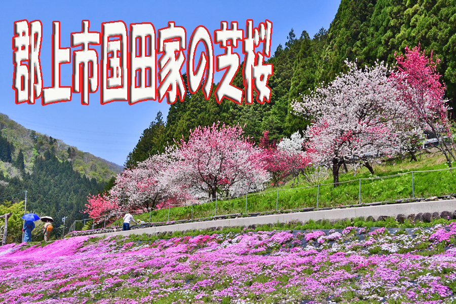 challenge 80挑戦 CHALLENGE Javascript