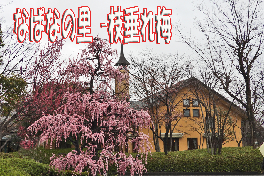 challenge 80挑戦 CHALLENGE Javascript