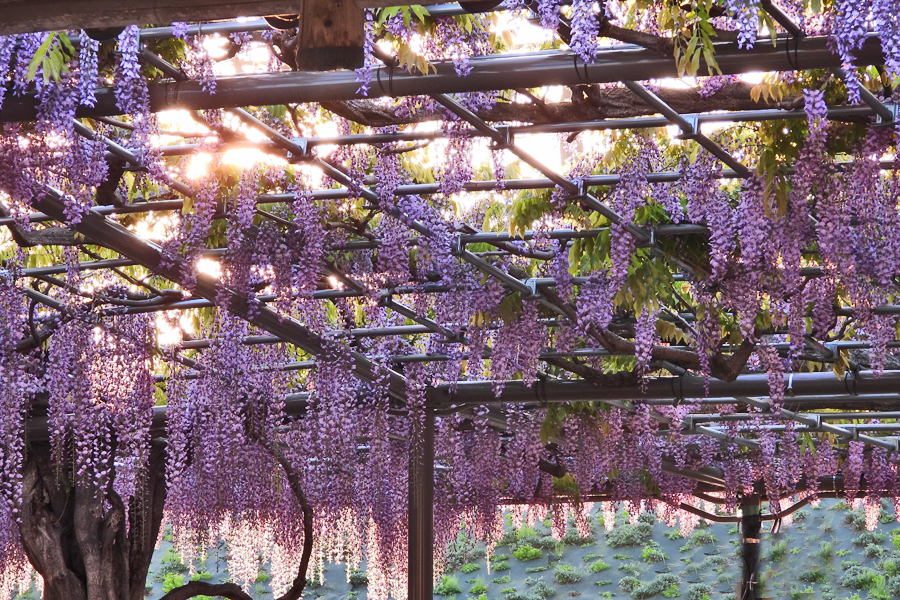 challenge 80挑戦 CHALLENGE Javascript